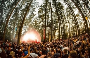 How to Throw a Rave (In the Woods): The Ultimate Checklist